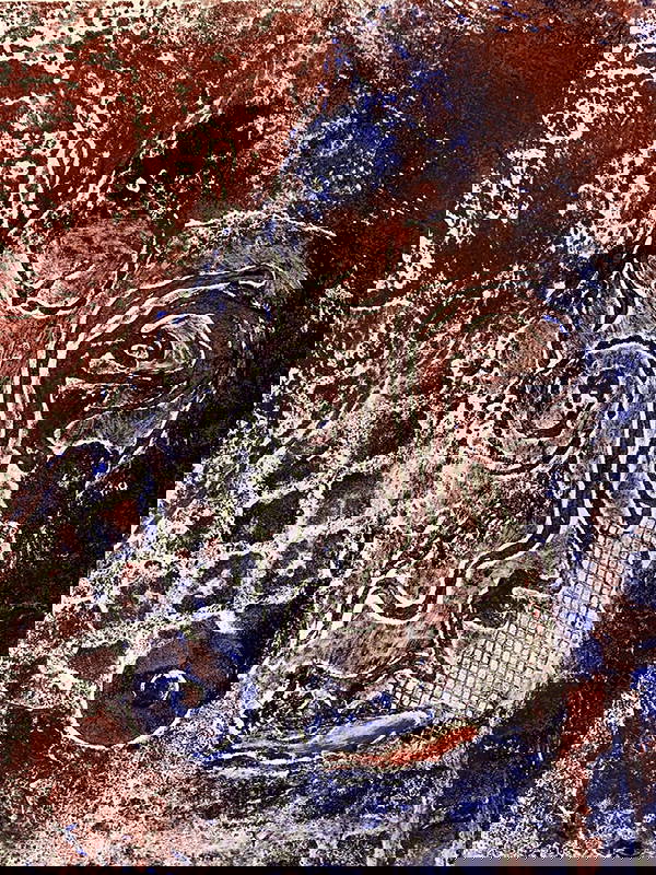 Selected Prints 2021 - Ken Turner Artist